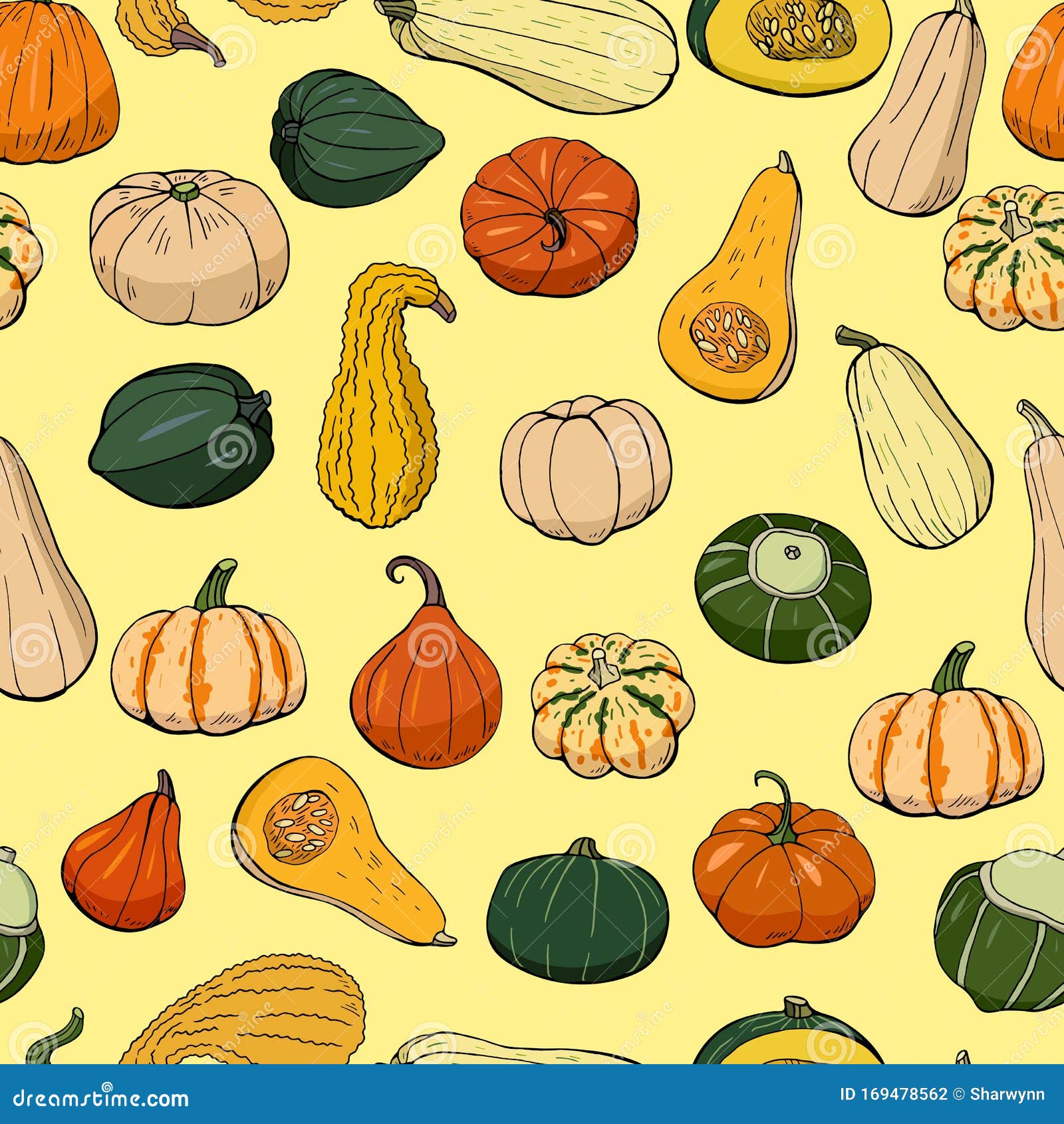 Seamless Pattern with Different Hand Drawn Squashes Stock Vector ...