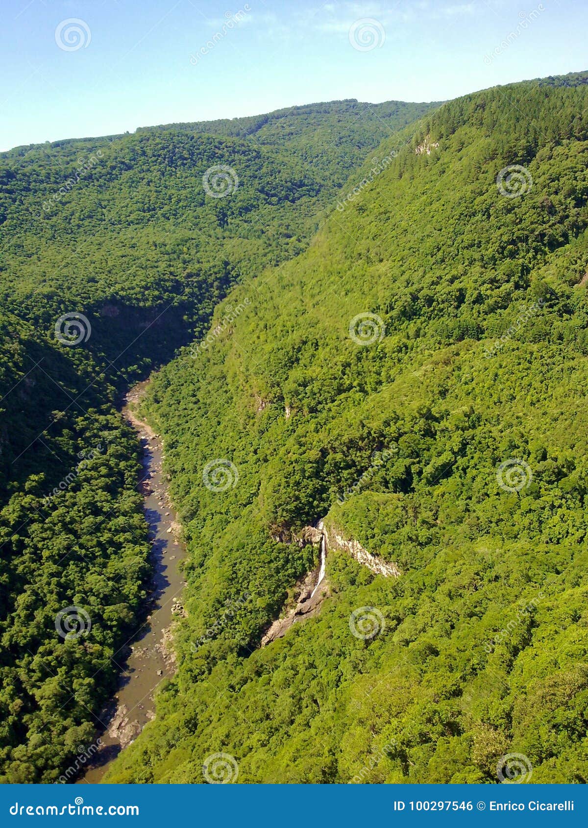 Brazilian landscape stock photo. Image of forest, infinite - 100297546