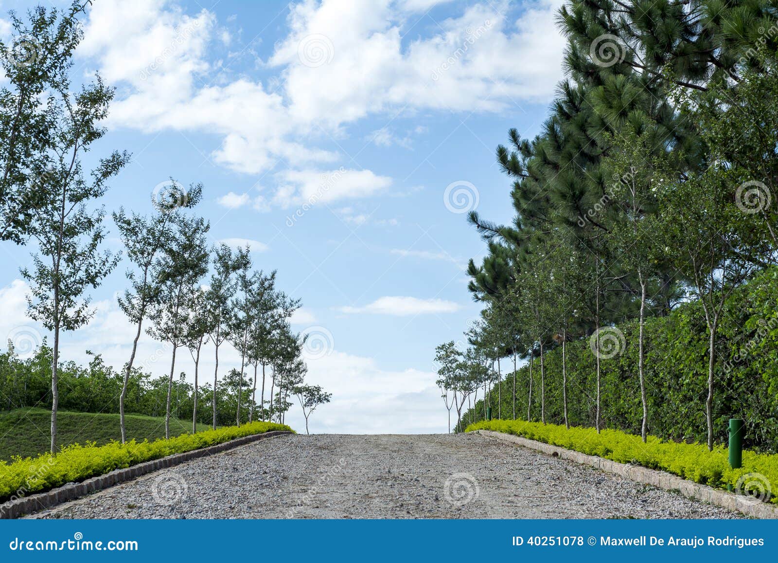 Endless way stock photo. Image of area, grassland, conservancy - 40251078