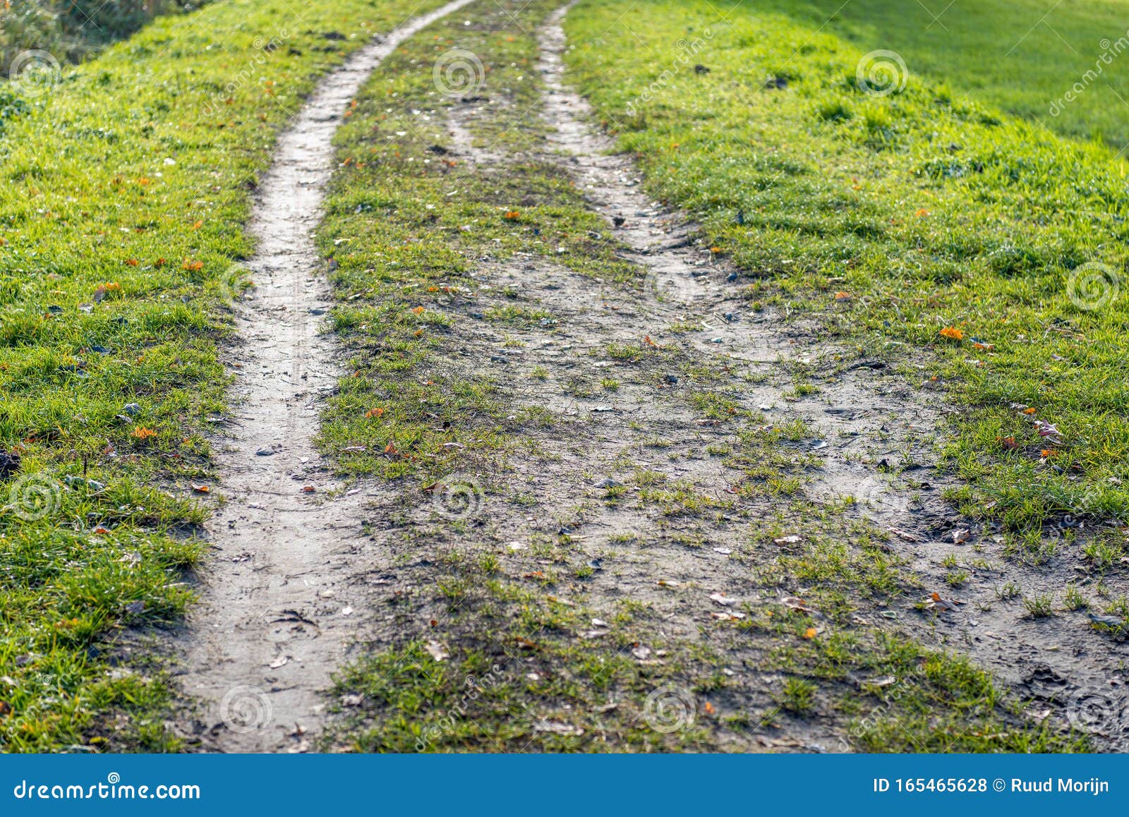 Endless Wheel Tracks on a Muddy Country Road Stock Photo - Image of ...