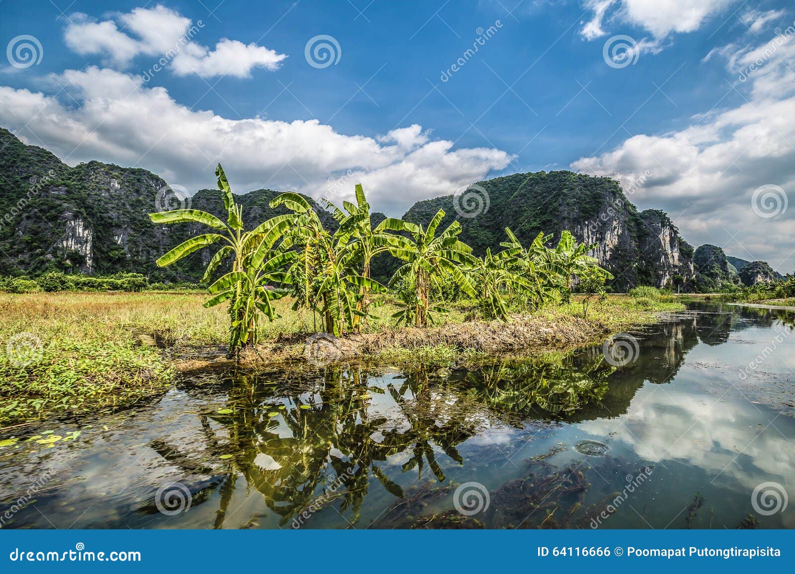 Endlessly stock photo. Image of environment, view, reflection - 64116666