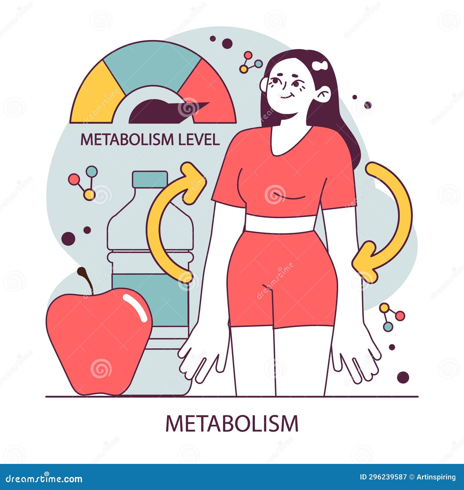 Endocrine System Function. Cellular Metabolism. Biochemical Reaction ...