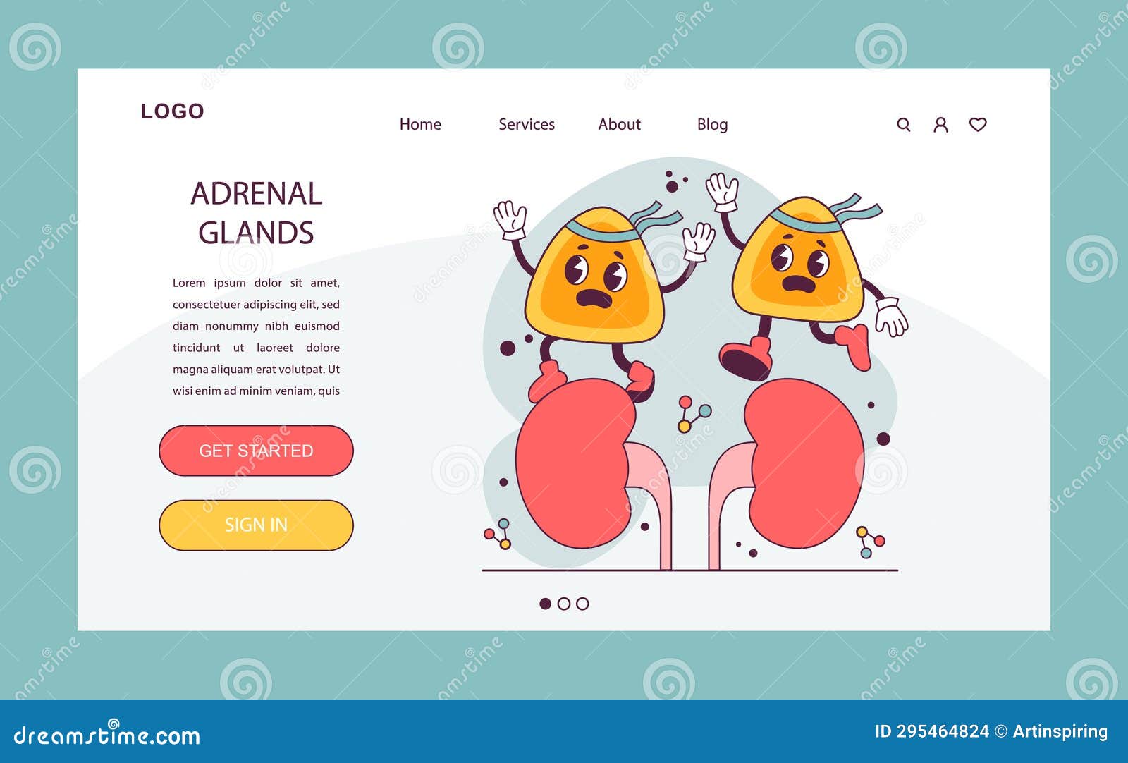 Endocrine System Organ. Human Gland Function. Adrenal Gland. Human ...