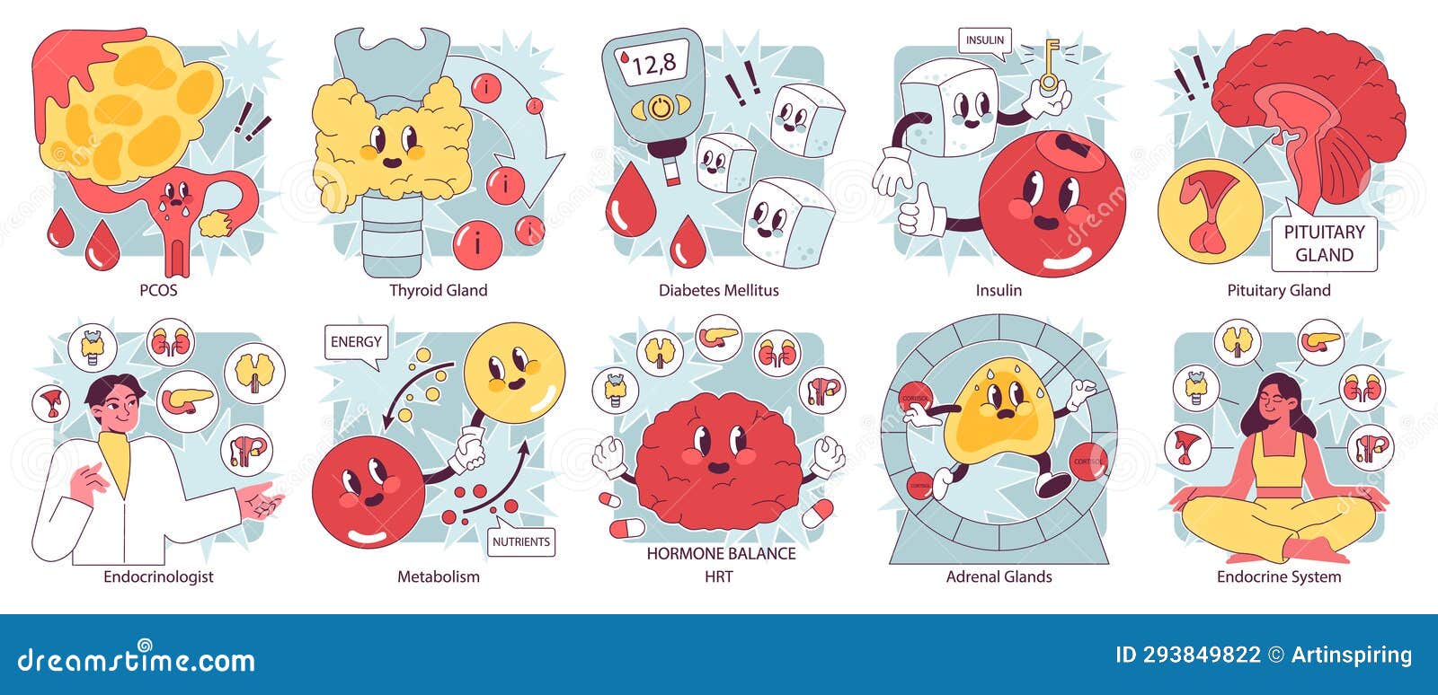 Endocrine Regulation Of Growth. Pituitary Gland Makes Growth Hormone GH ...