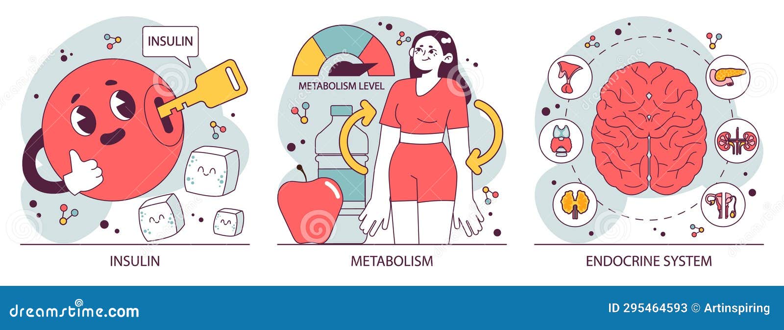 Endocrine System Organs And Disease Set. Human Glands Function ...