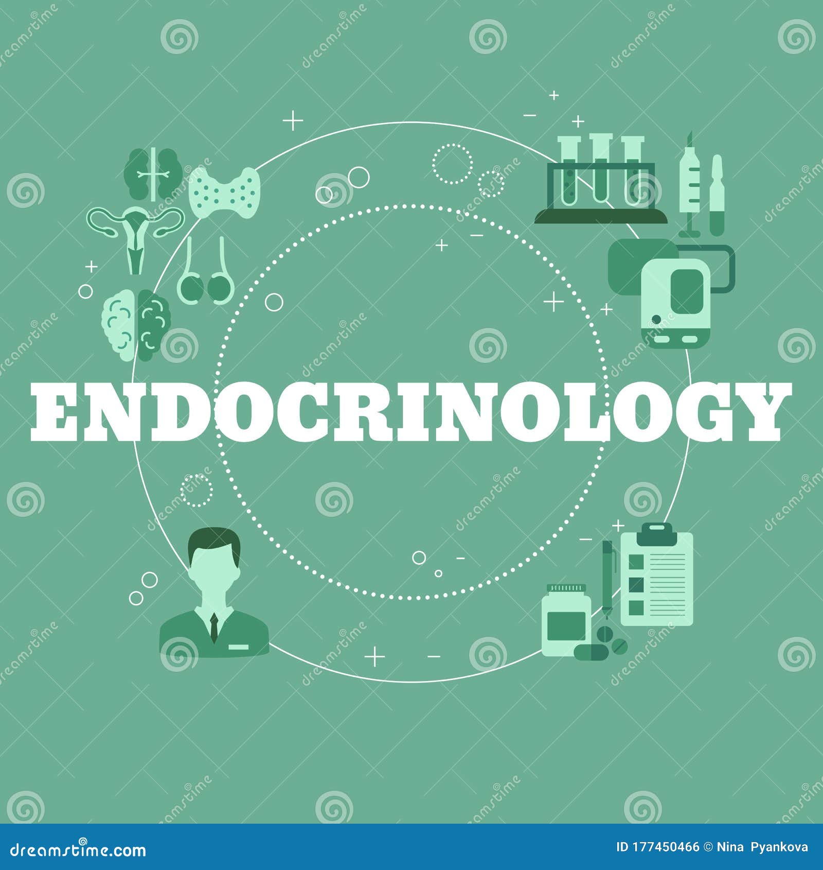 Endocrinology Web Banner Or Landing Page. Endocrine System Organs ...