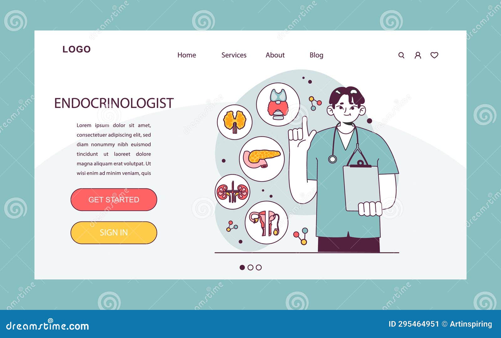 Endocrinology. Endocrine System Organs, Pancreas Thyroid Gland ...