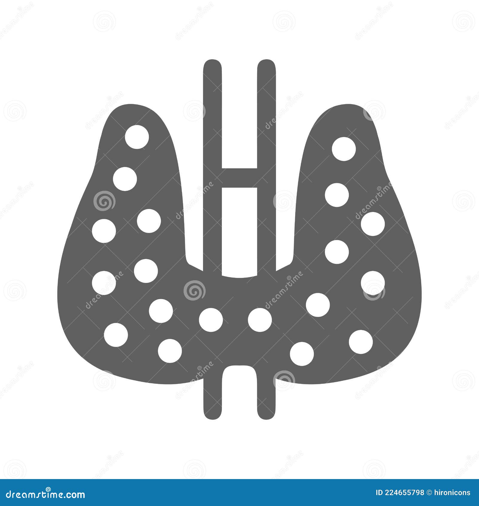 Endocrinology, Thyroid Icon. Gray Vector Graphics Stock Vector ...