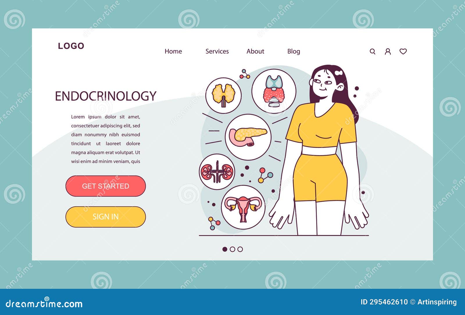 Endocrinology. Endocrine System Organs, Pancreas Thyroid Gland ...