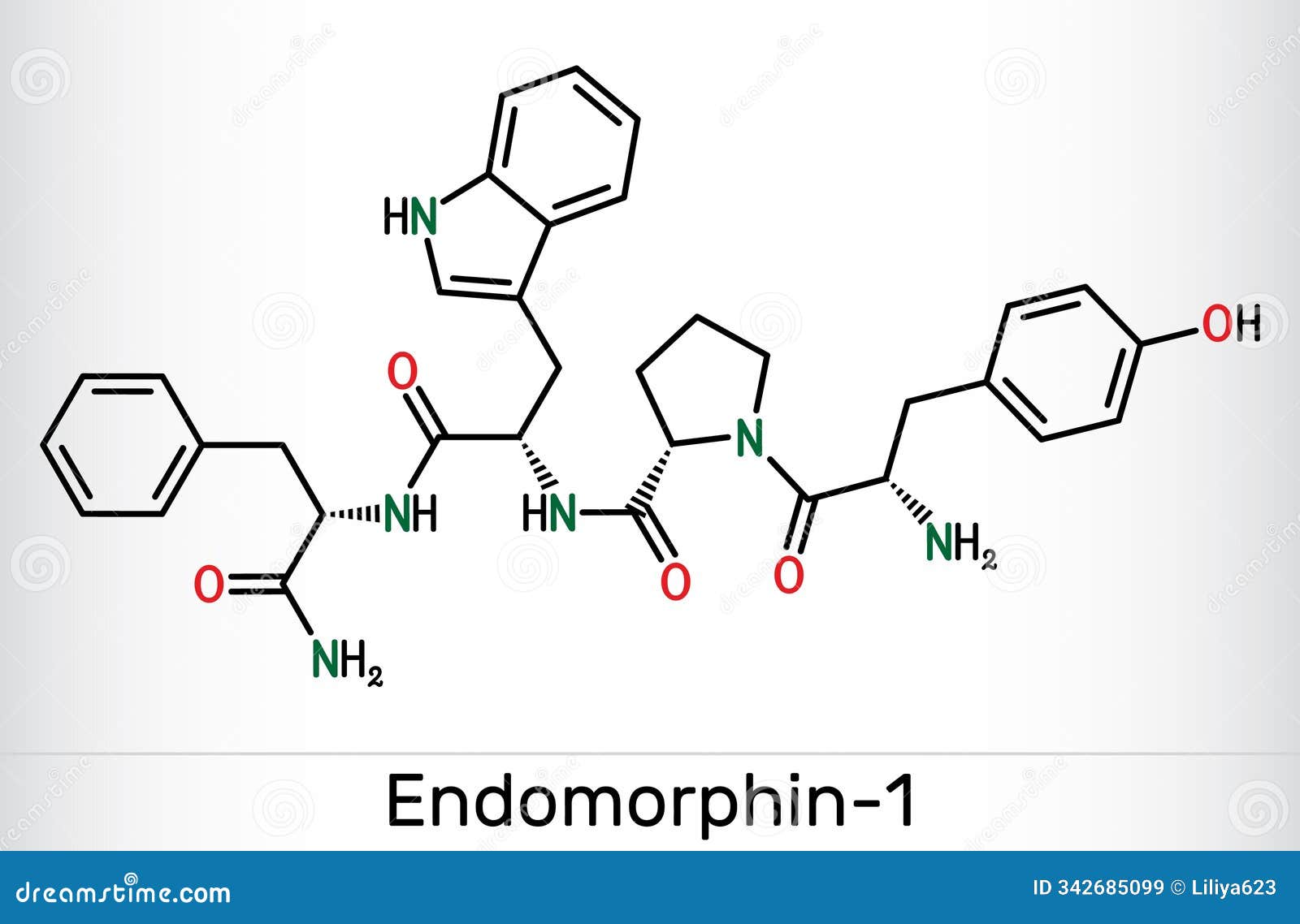 Endomorphin-2 Molecule. Natural Opioid Peptide. Molecule Model. Sheet ...