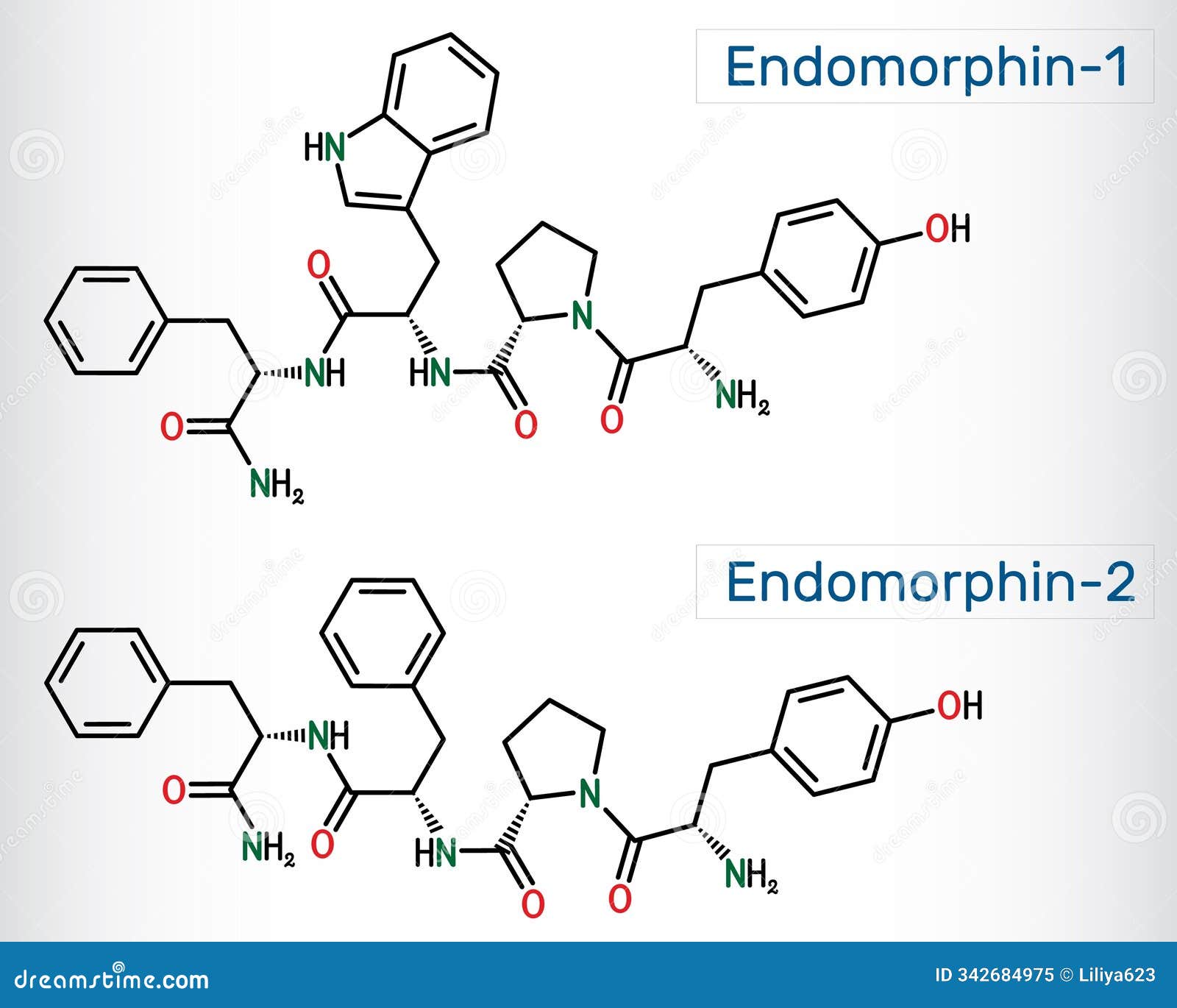 Endomorphin-1 (EM-1), Endomorphin-2 Molecule. Structural Chemical ...