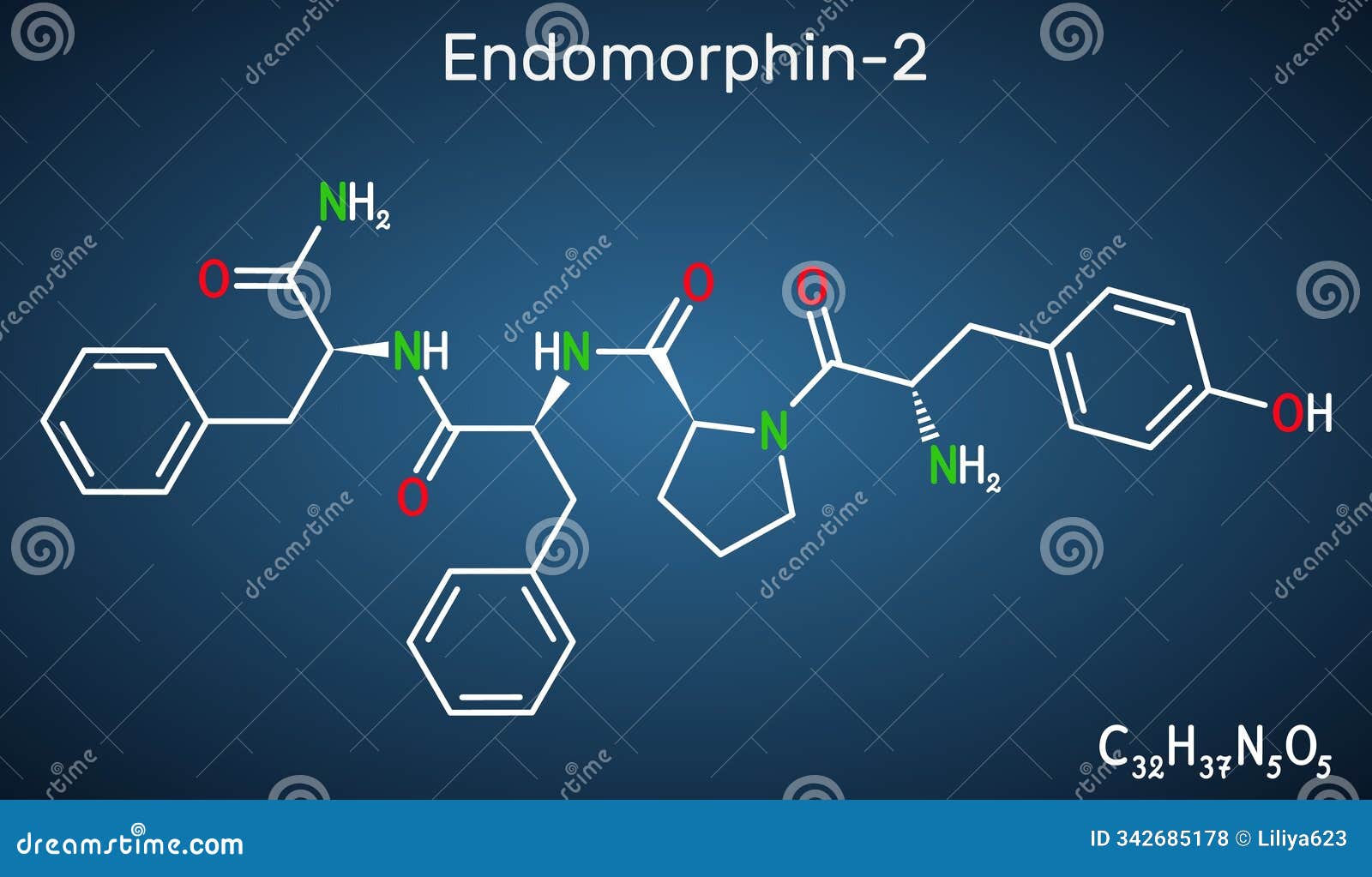 Endomorphin-2 Molecule. Natural Opioid Peptide. Molecule Model. Sheet ...
