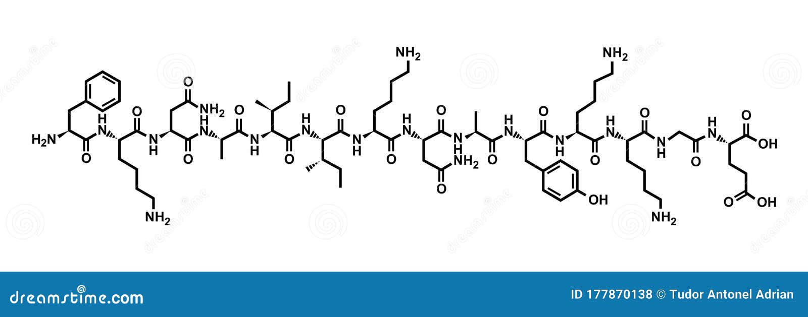 Endorphin chemical formula stock illustration. Illustration of beta ...