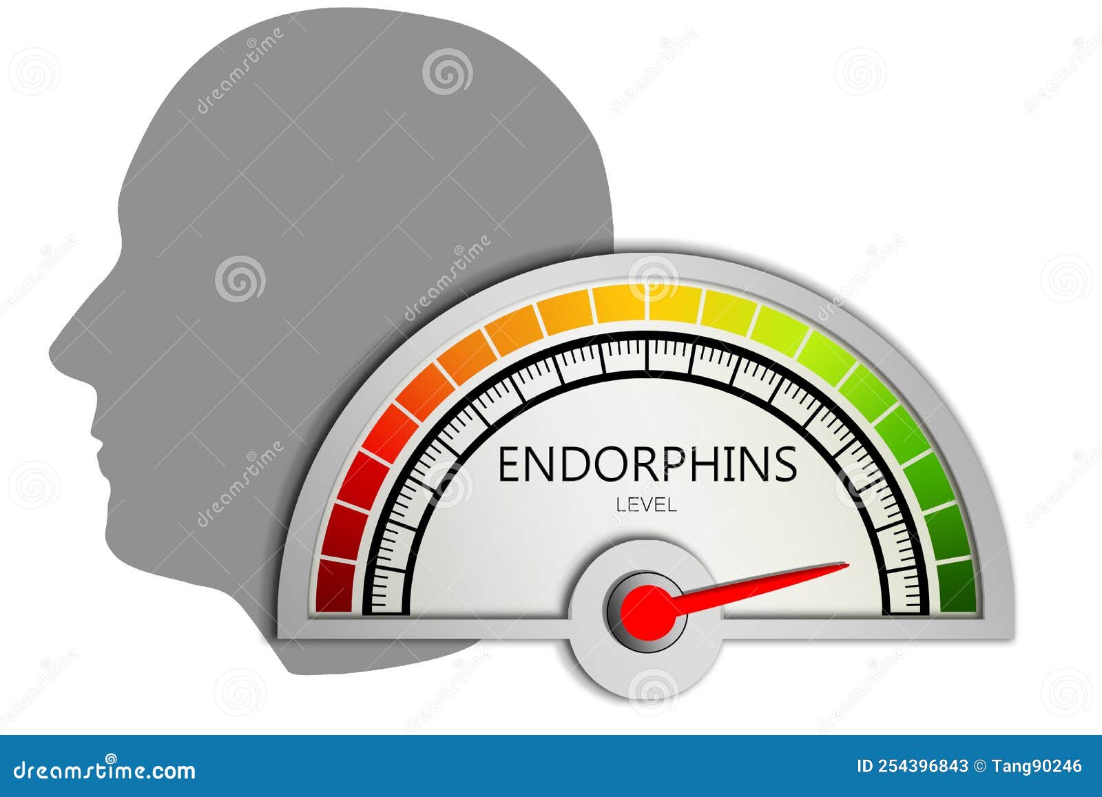 Endorphins Hormone. Mood Hormone Endorphins Molecular Chemical Formula ...
