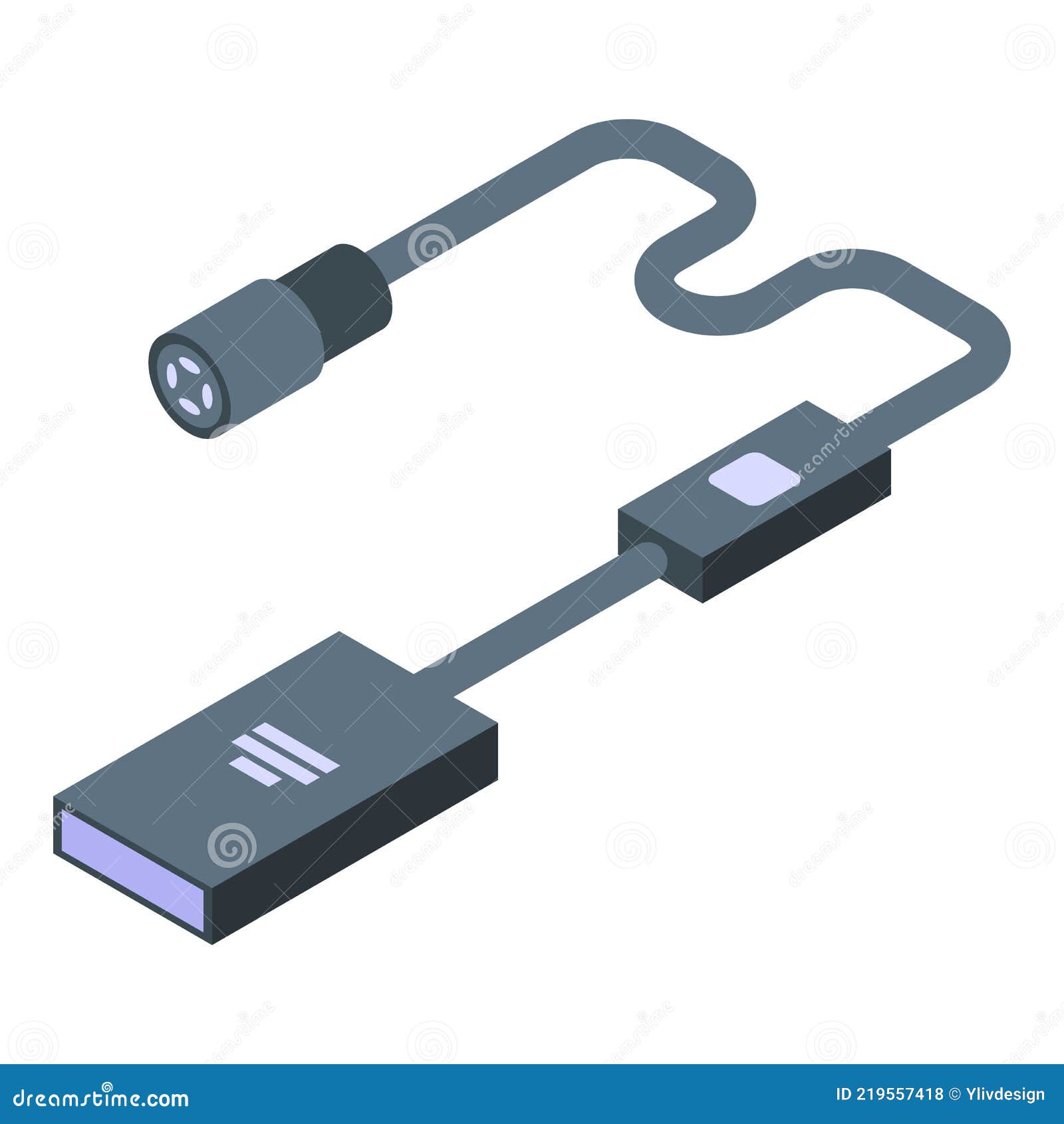 Endoscope Camera Icon, Isometric Style Stock Vector - Illustration of ...