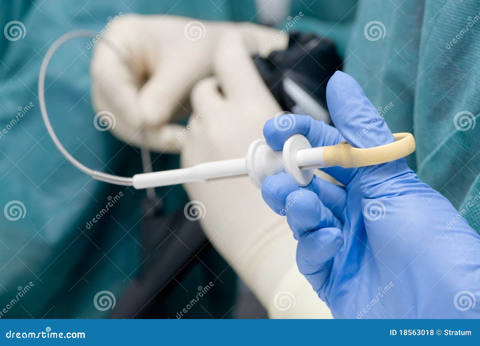 Endoscopic biopsy stock photo. Image of gastrofibroscope - 18563018