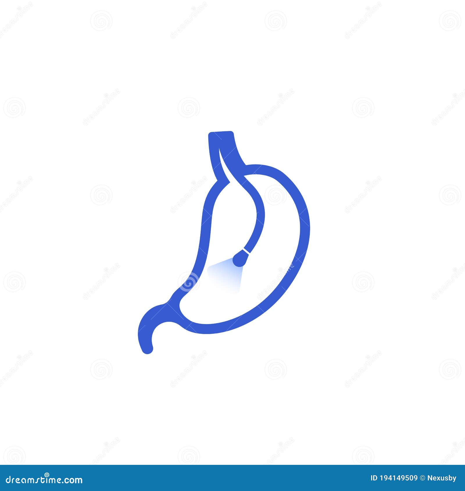 Endoscopy Stomach, Gastroscopy, Gastrointestinal Medical Diagnostic ...