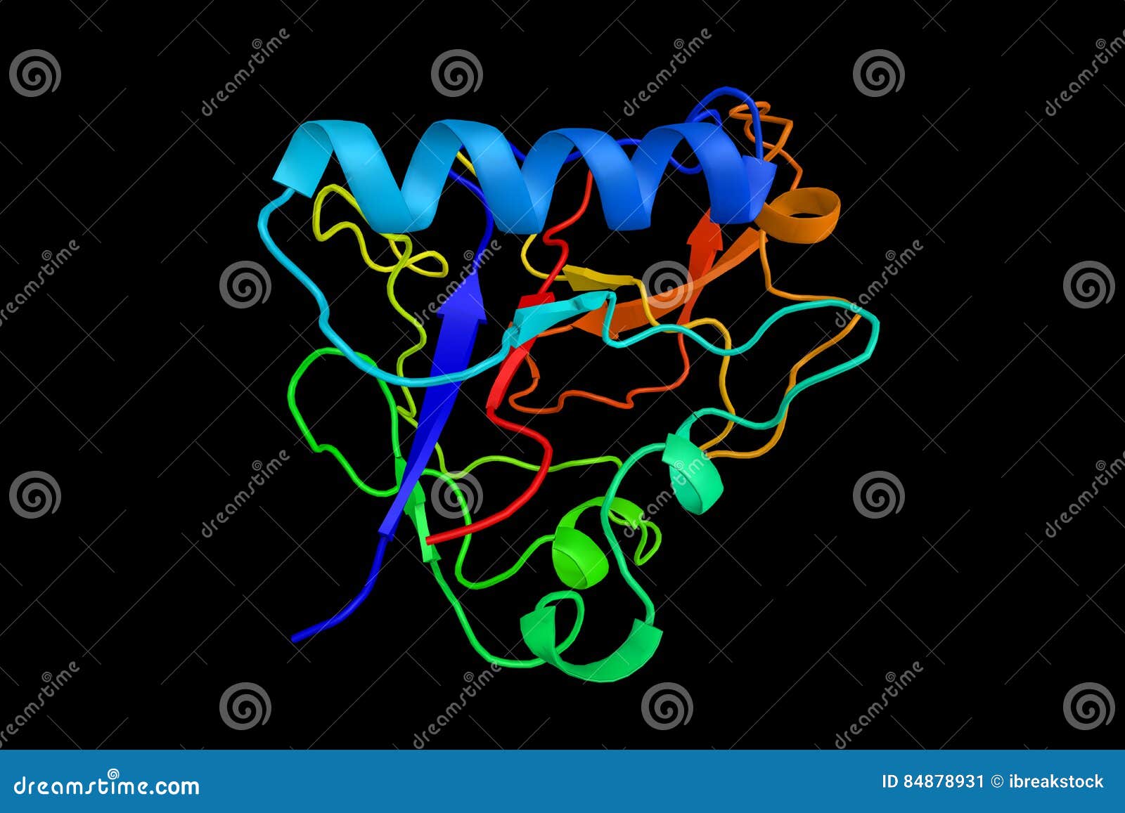 Endostatin, Ein Breitspektrum Angiogenesishemmnis Stock Abbildung ...
