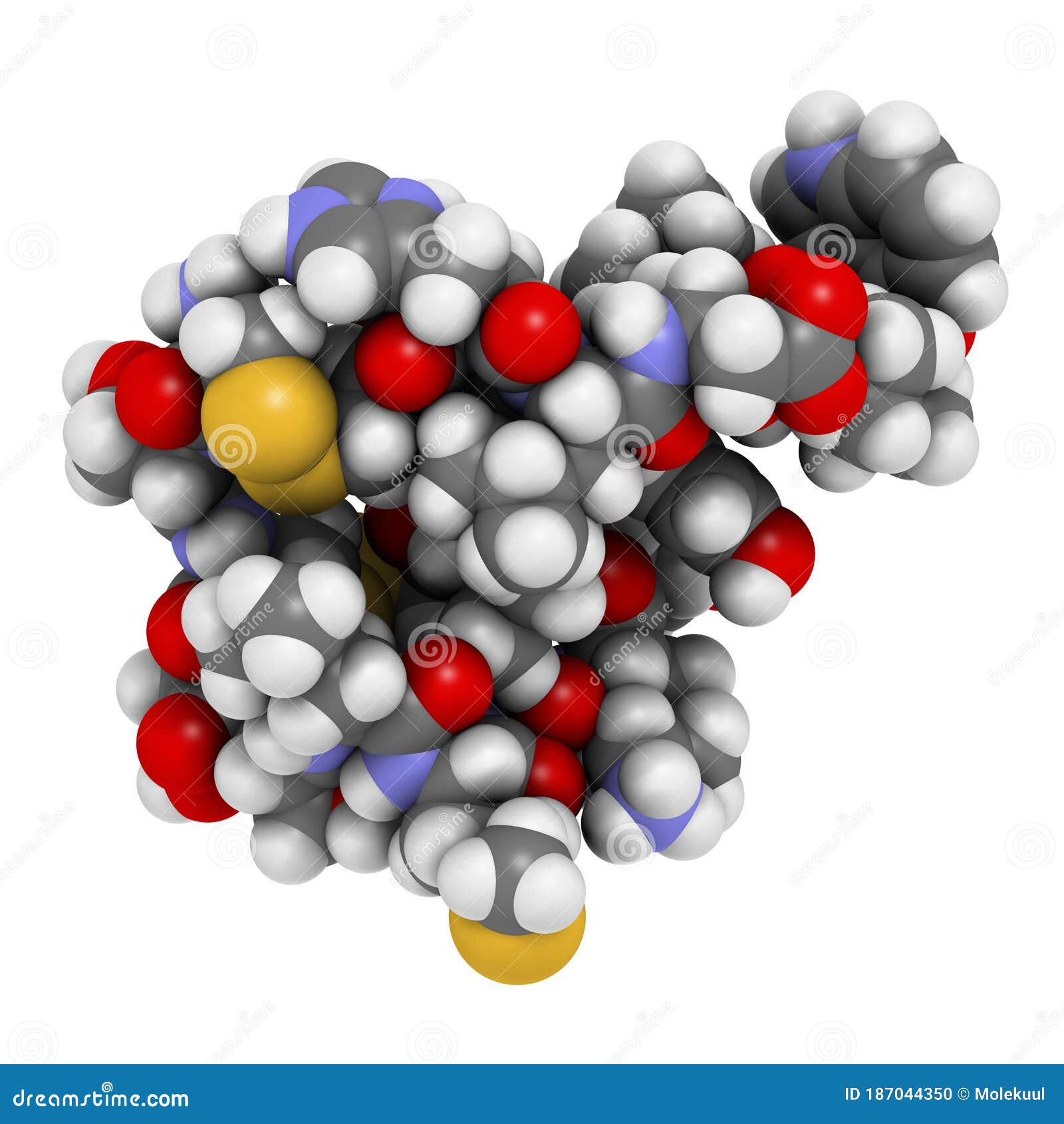 Endothelin 1 (ET-1) Vasoconstrictory Peptide Molecule Stock ...