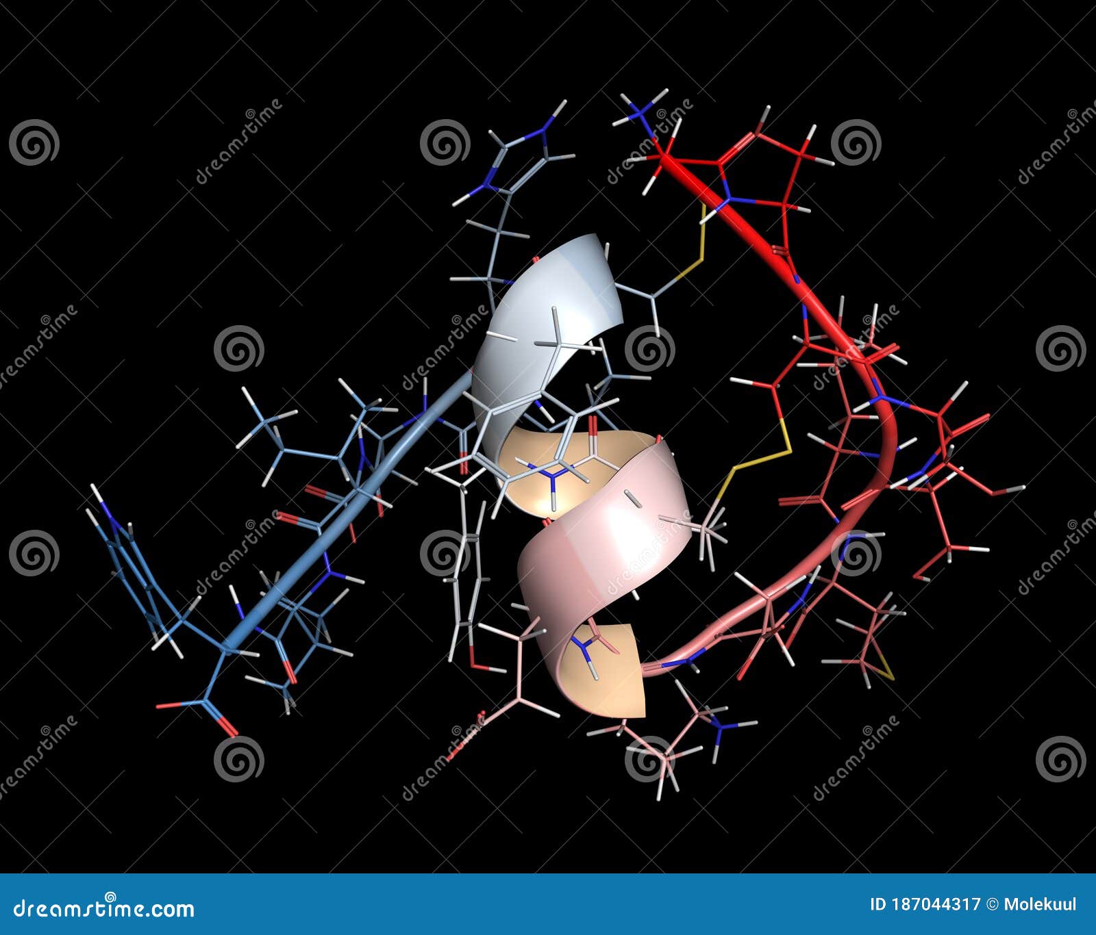 Peptide Molecule Stock Image | CartoonDealer.com #29975611
