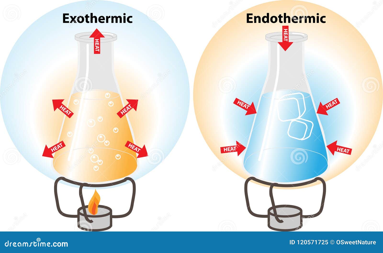 Endothermic And Exothermic Reactions Stock Vector Illustration Of