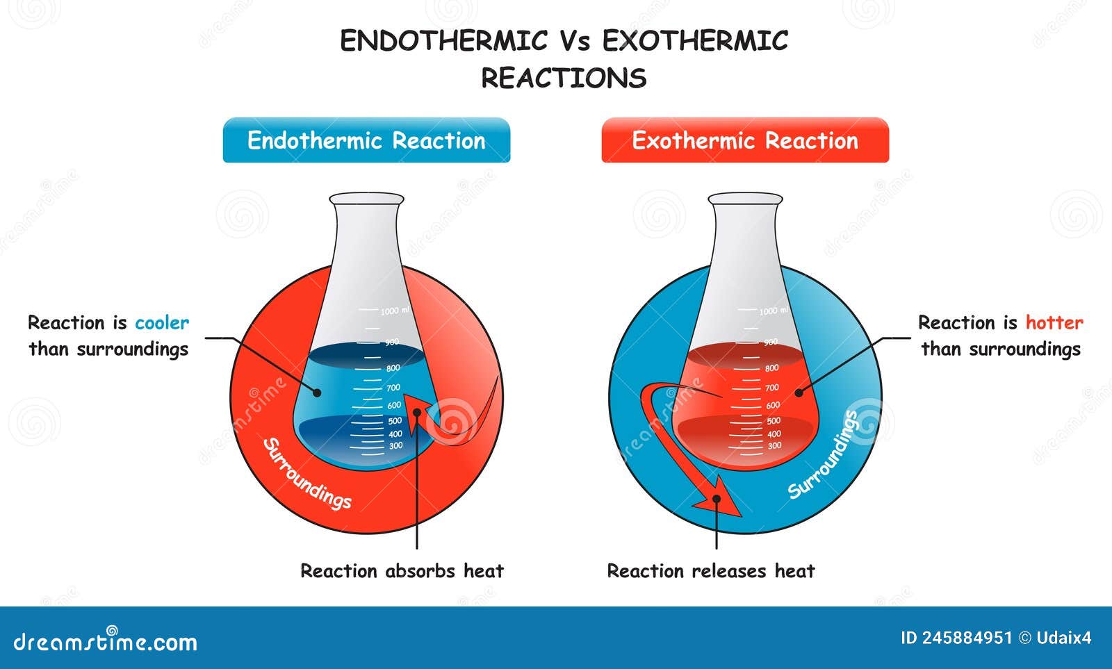 Endothermic Vs Exothermic Reactions Infographic Diagram Stock Vector ... Endothermic Vs Exothermic Reactions Infographic Diagram Stock Vector ...