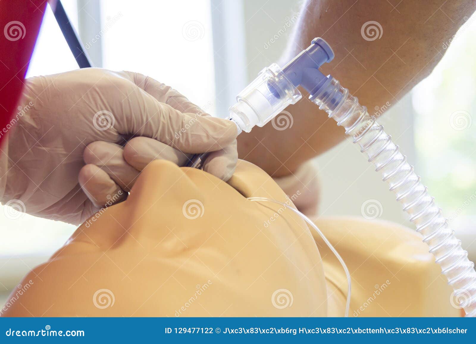 Endotracheal Intubation. Practicing Medical Skills On A Medical Dummy ...