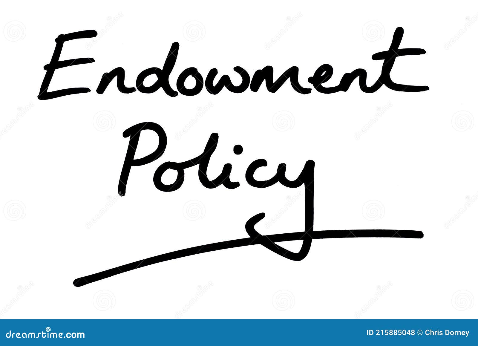Endowment Plan Benefits On Blue Royalty-Free Stock Image ...