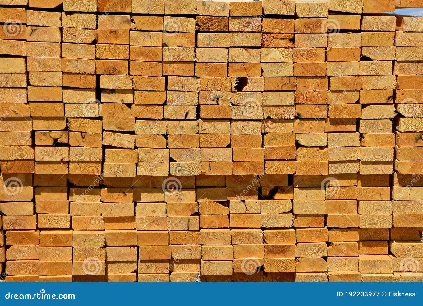 Ends of 2x4 Building Studs in a Stack Stock Image - Image of industry ...