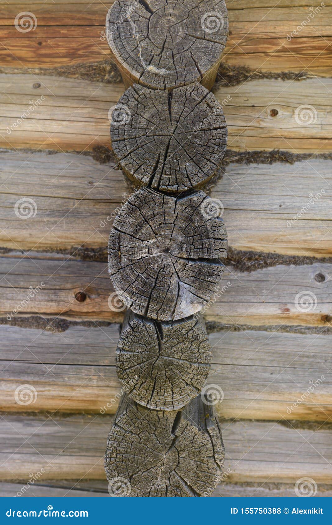 Ends of logs stock photo. Image of material, natural - 155750388