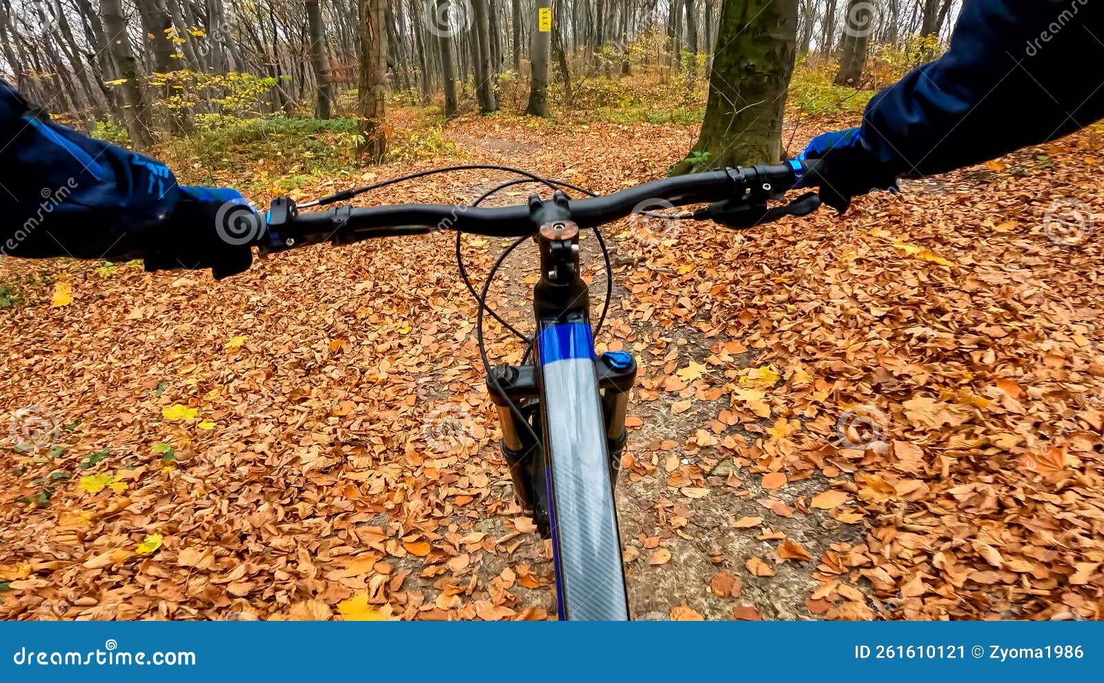 Enduro Bicycle Ride on the Forest Trails in the Autumn Season Stock ... Enduro Bicycle Ride on the Forest Trails in the Autumn Season Stock ...