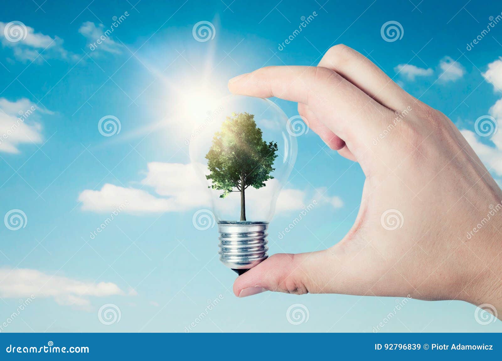 1,589 Nature Responsibility Abstract Stock Photos - Free & Royalty-Free ...