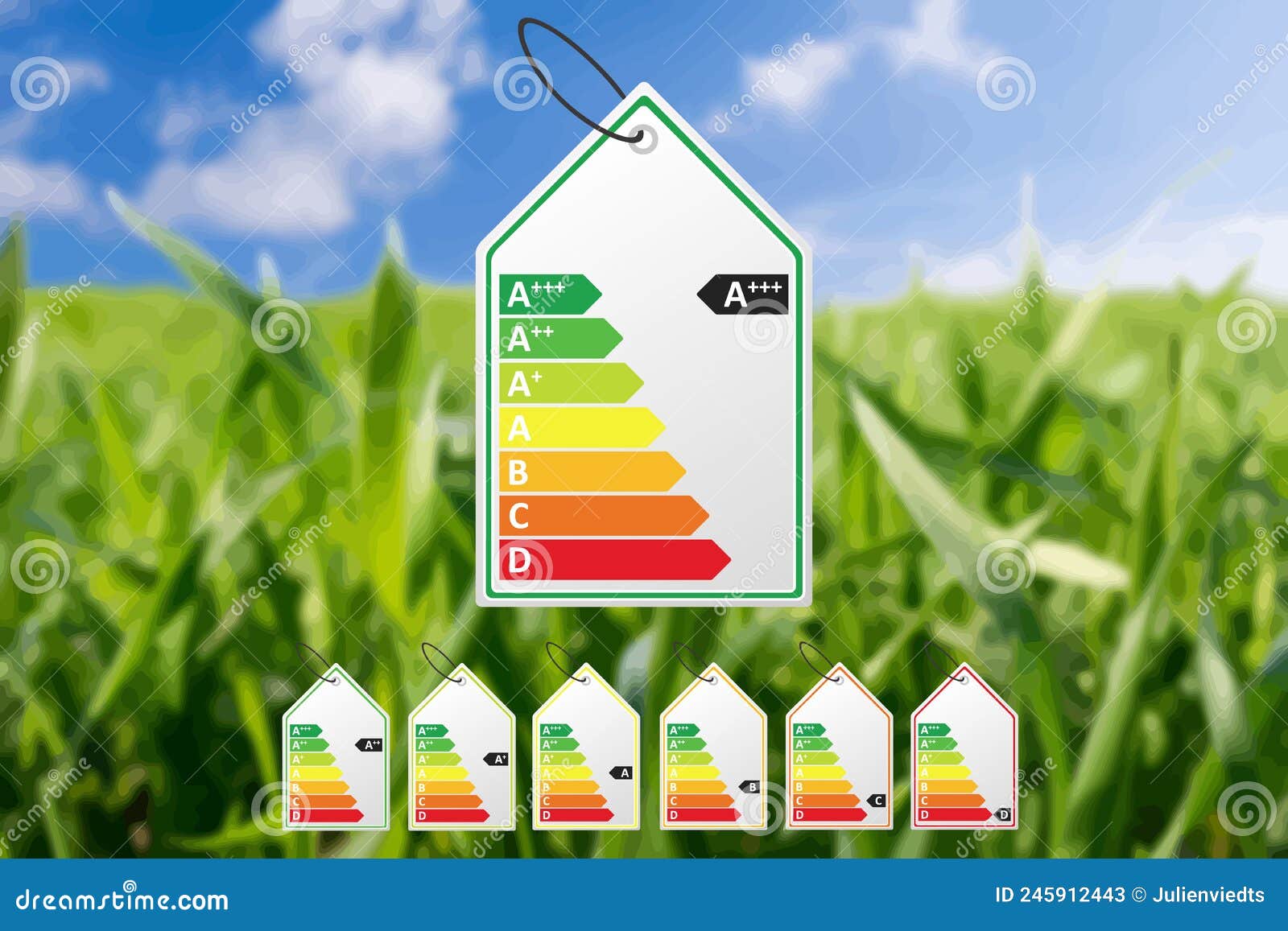 Energy Efficiency Labels Set on Vector Background Stock Vector ...
