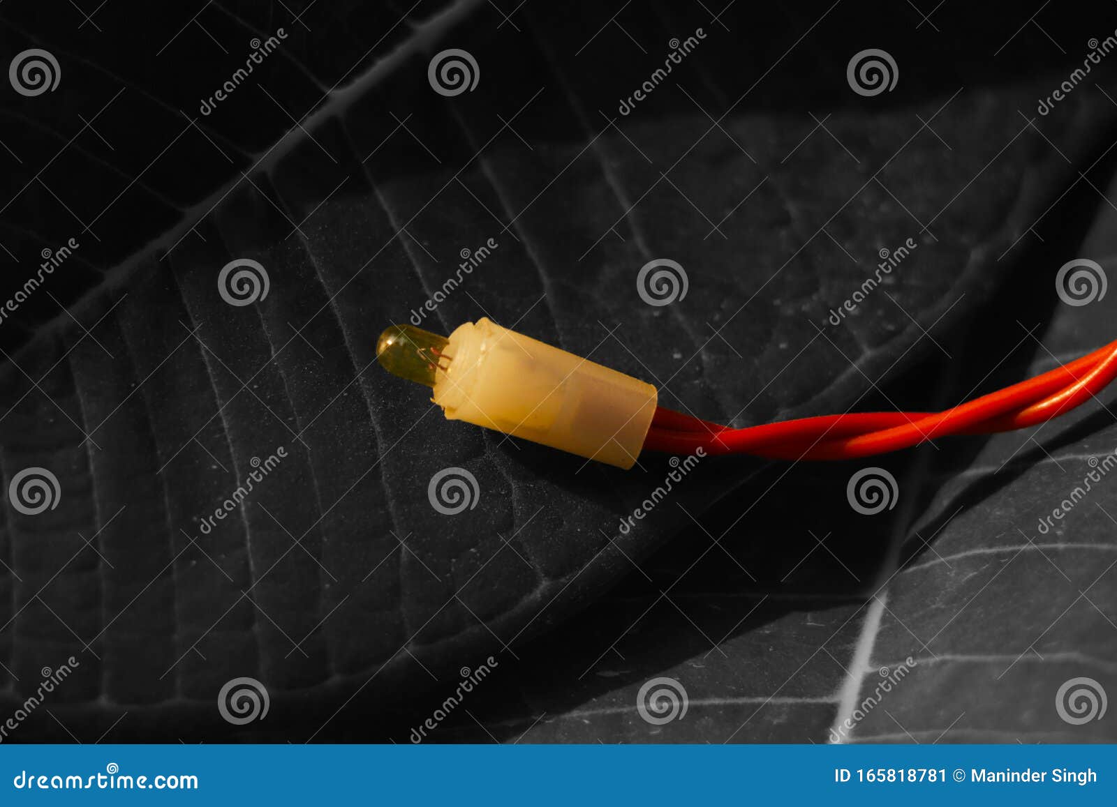 Light bulb and leaf. stock image. Image of building - 165818781