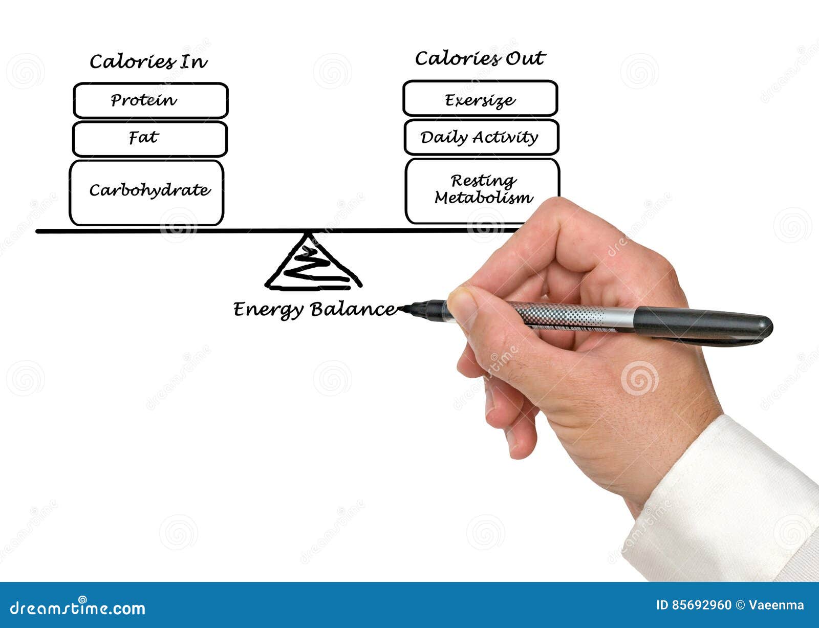 Energy Intake and Energy Expenditure Stock Photo - Image of consumed ...