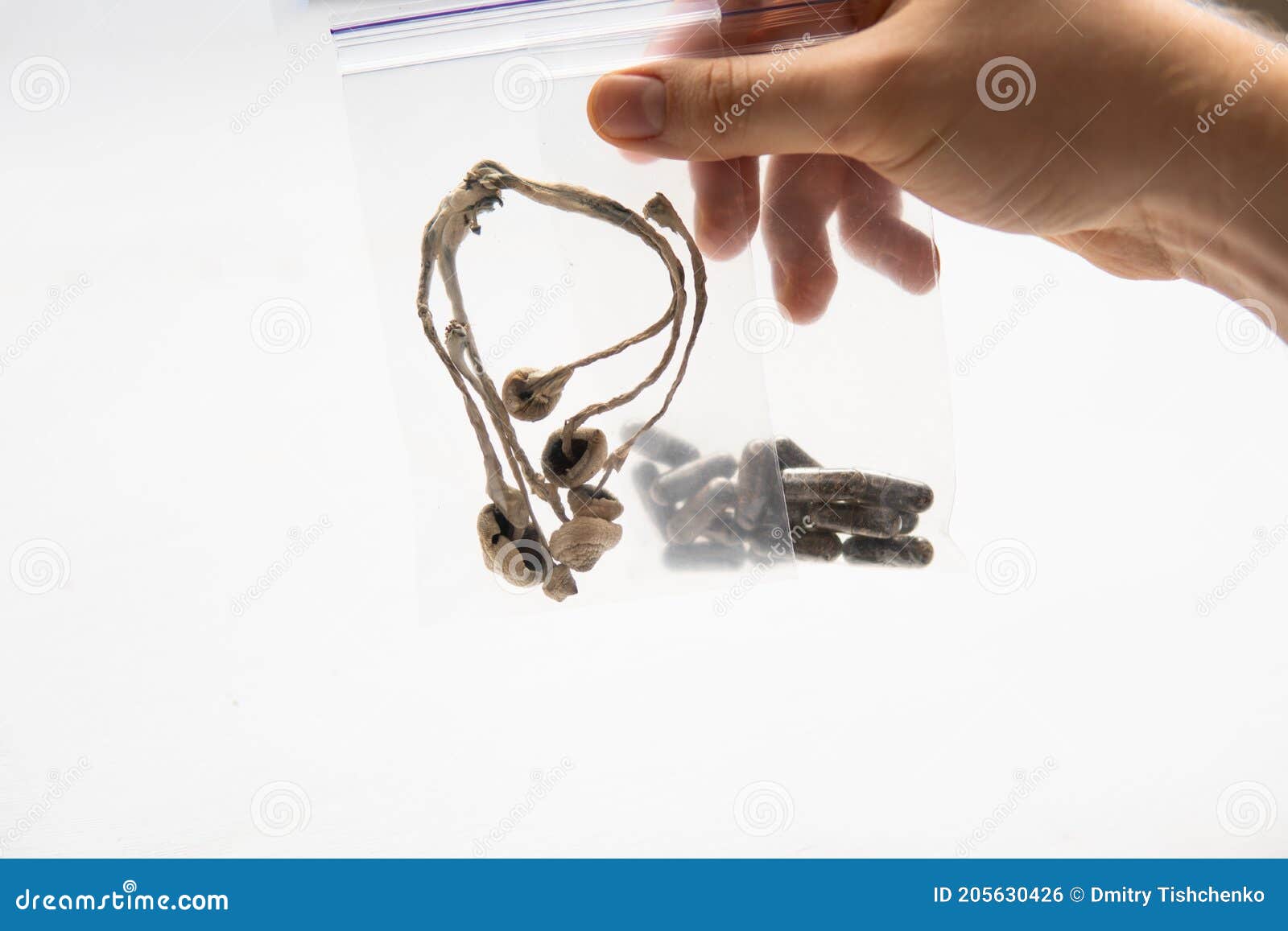 Energy Micro Dosing. Magic Shroom in Hand . Medicines Physical Stock ...