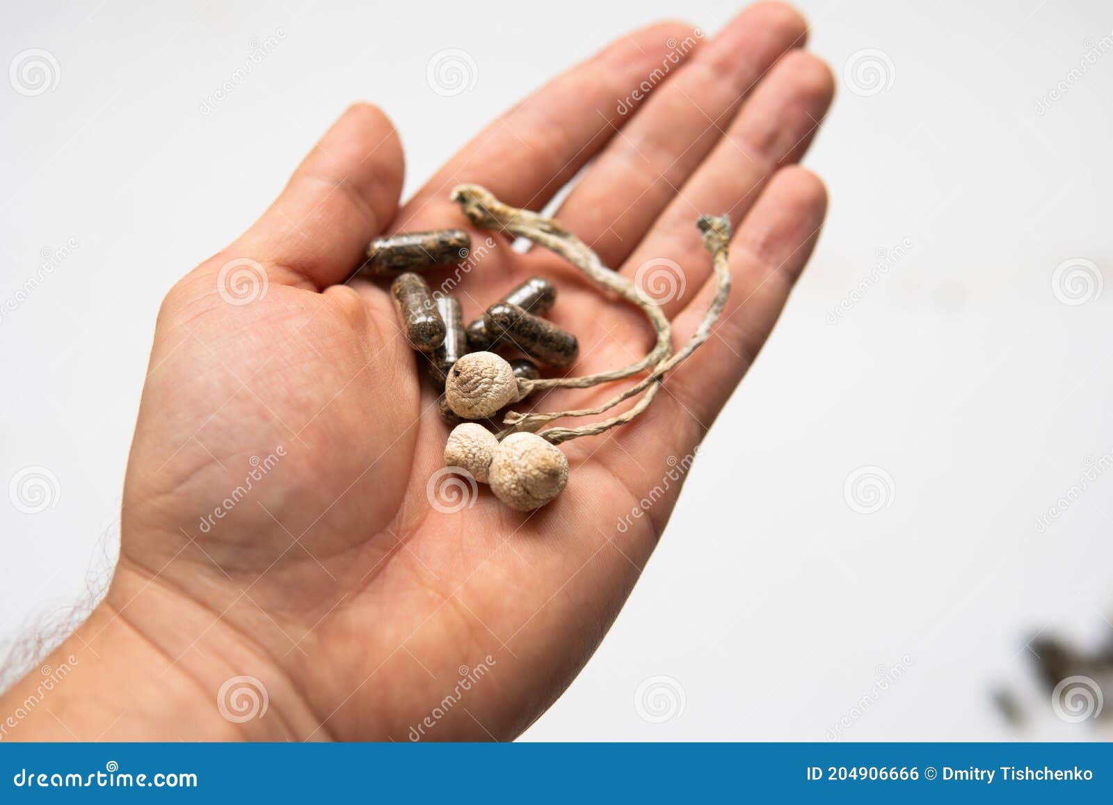 Energy Micro Dosing Psilocybin Mushroom. Psychedelic Microdosing Stock ...