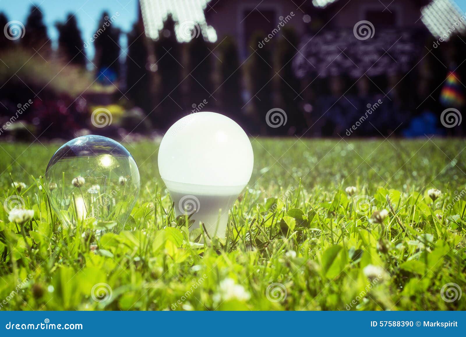 Energy in nature stock photo. Image of lawn, plant, conceptual - 57588390