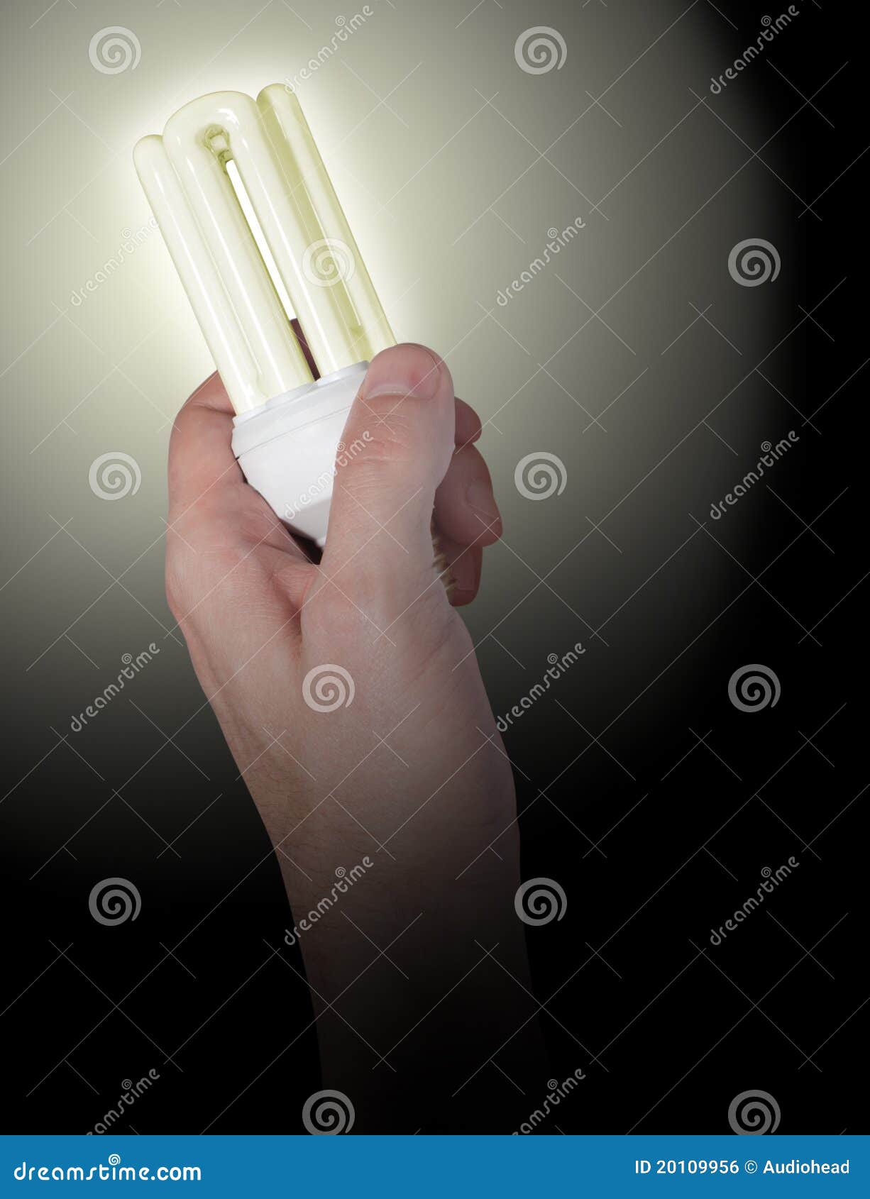 Energy Saving Bulb in Hand stock photo. Image of bright - 20109956