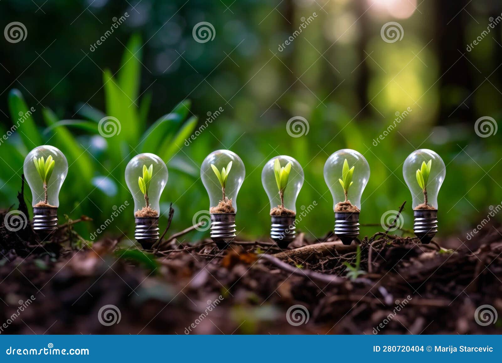 Energy Saving Concept, Plants Growing in the Light Bulbs in the Forest ...