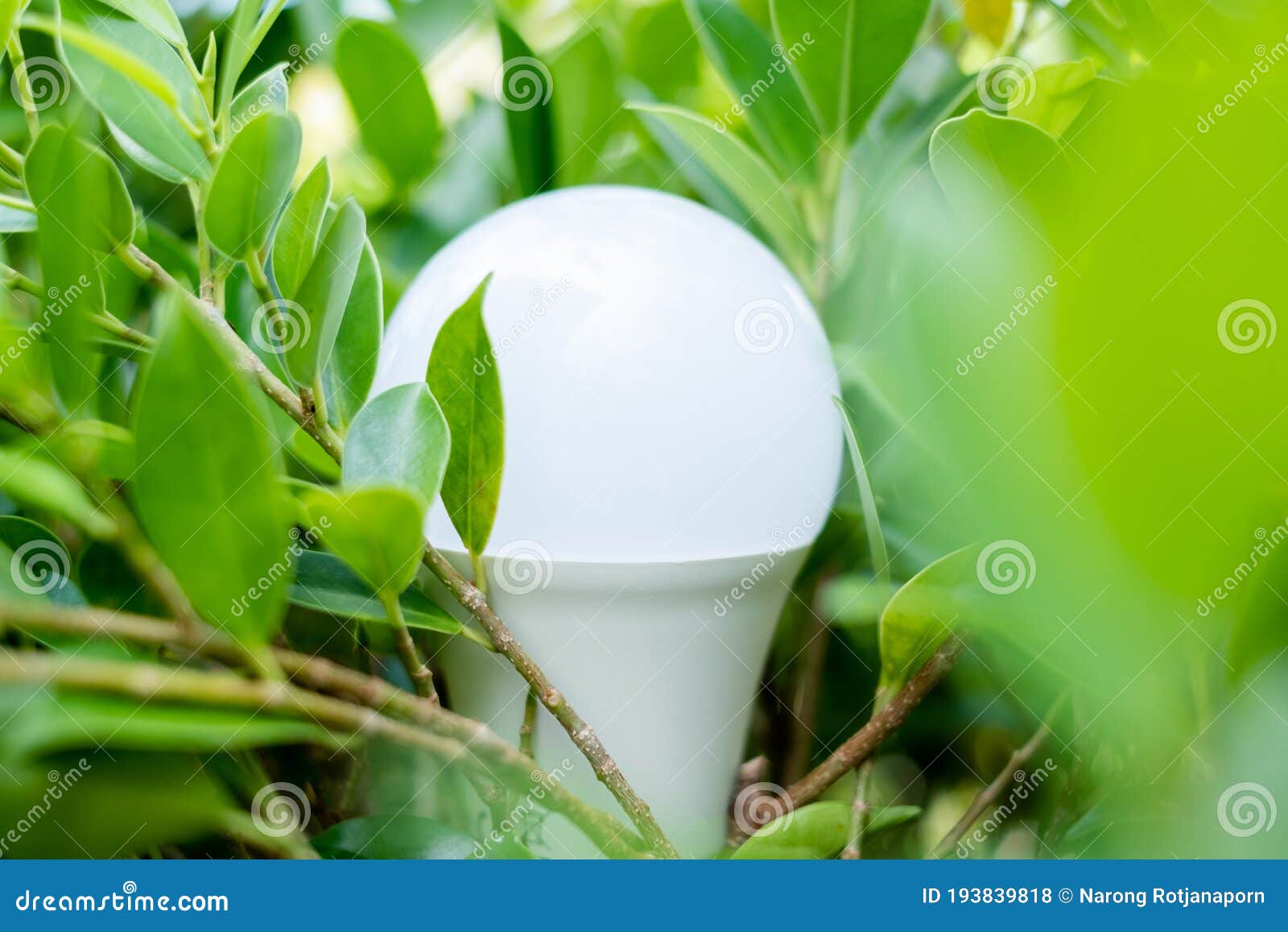 Energy Saving LED BULB ECO with the Environment Stock Photo - Image of ...