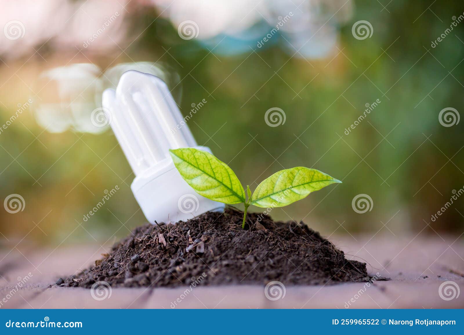 Energy Saving LED BULB ECO with the Environment Stock Photo - Image of ...