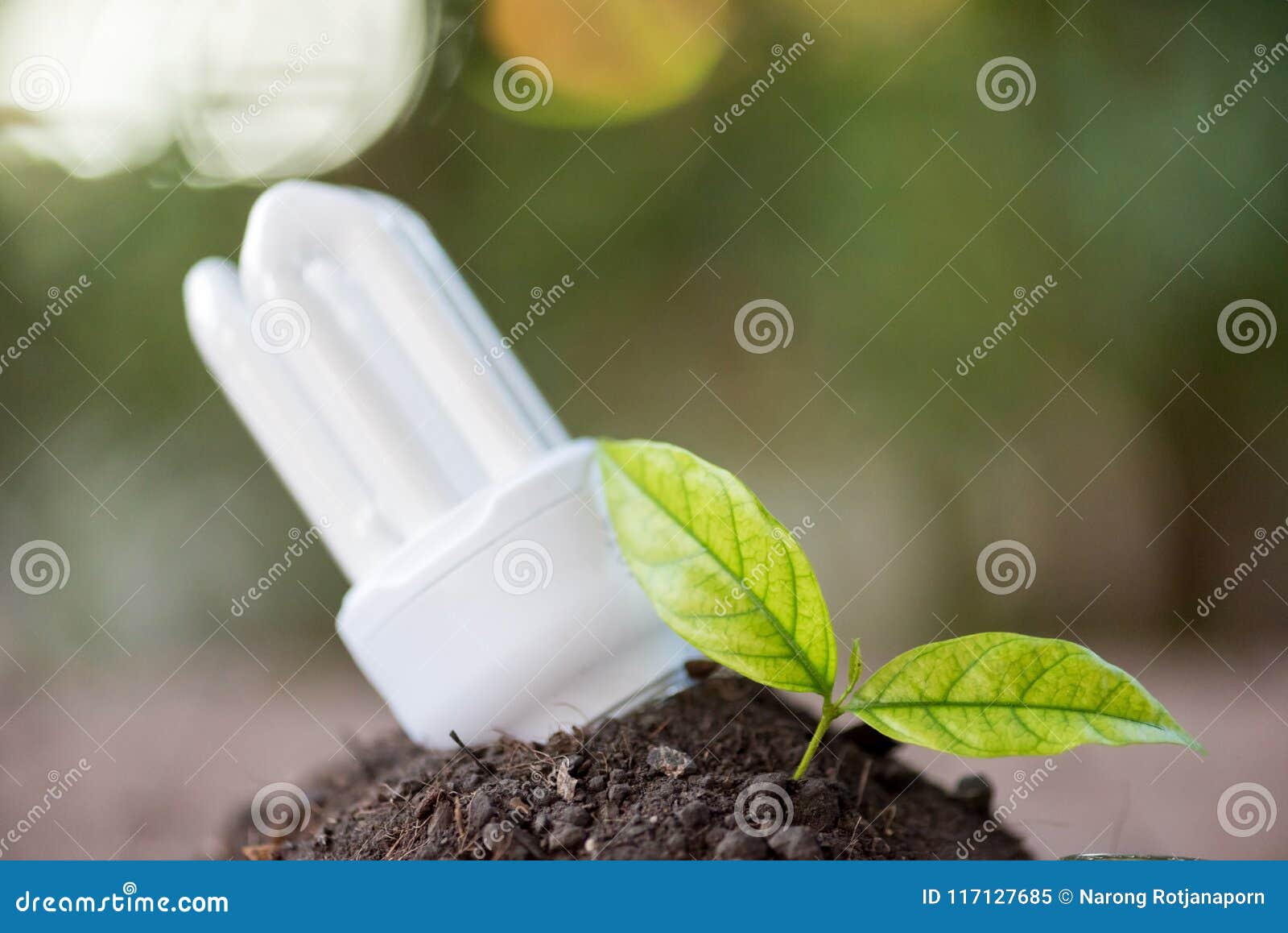 Energy Saving LED BULB ECO with the Environment Stock Image - Image of ...