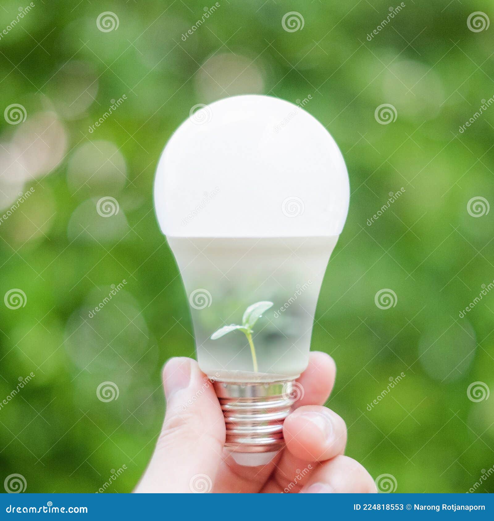 Energy Saving LED BULB ECO with the Environment Stock Image - Image of ...