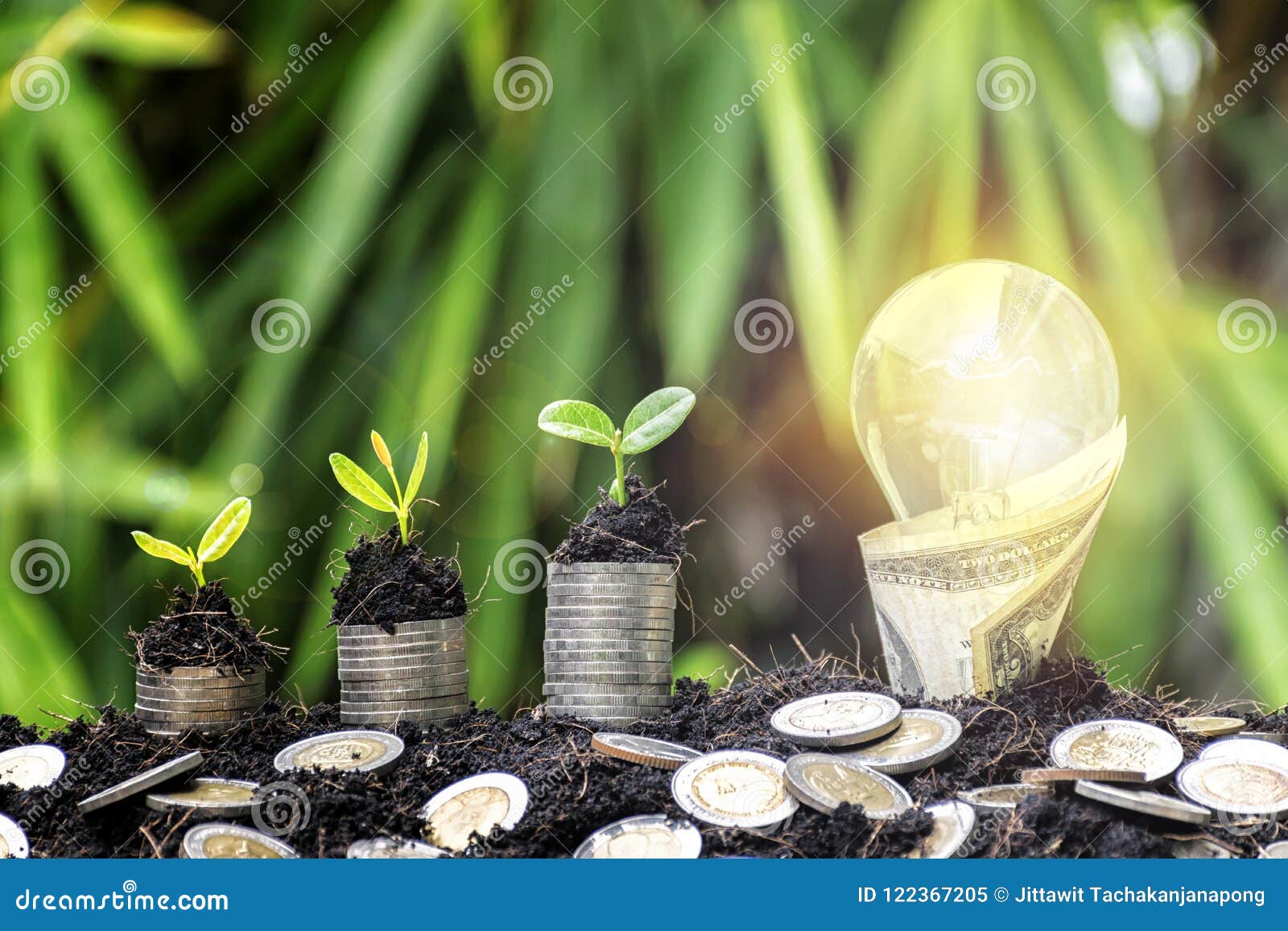 Energy Saving Light Bulb Wrapped with a Dollar. Stock Image - Image of ...