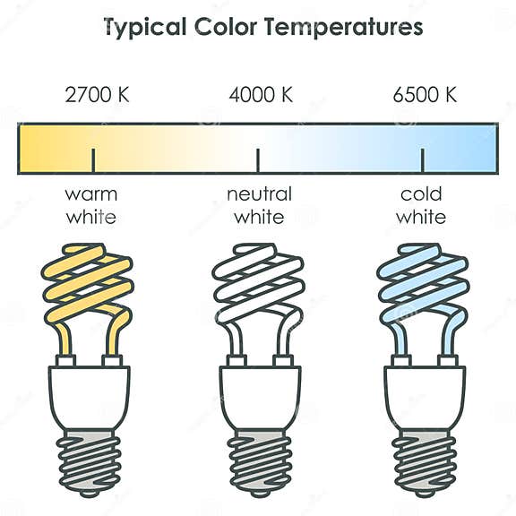 Energy Saving Light Bulbs. . Stock Illustration - Illustration of ...
