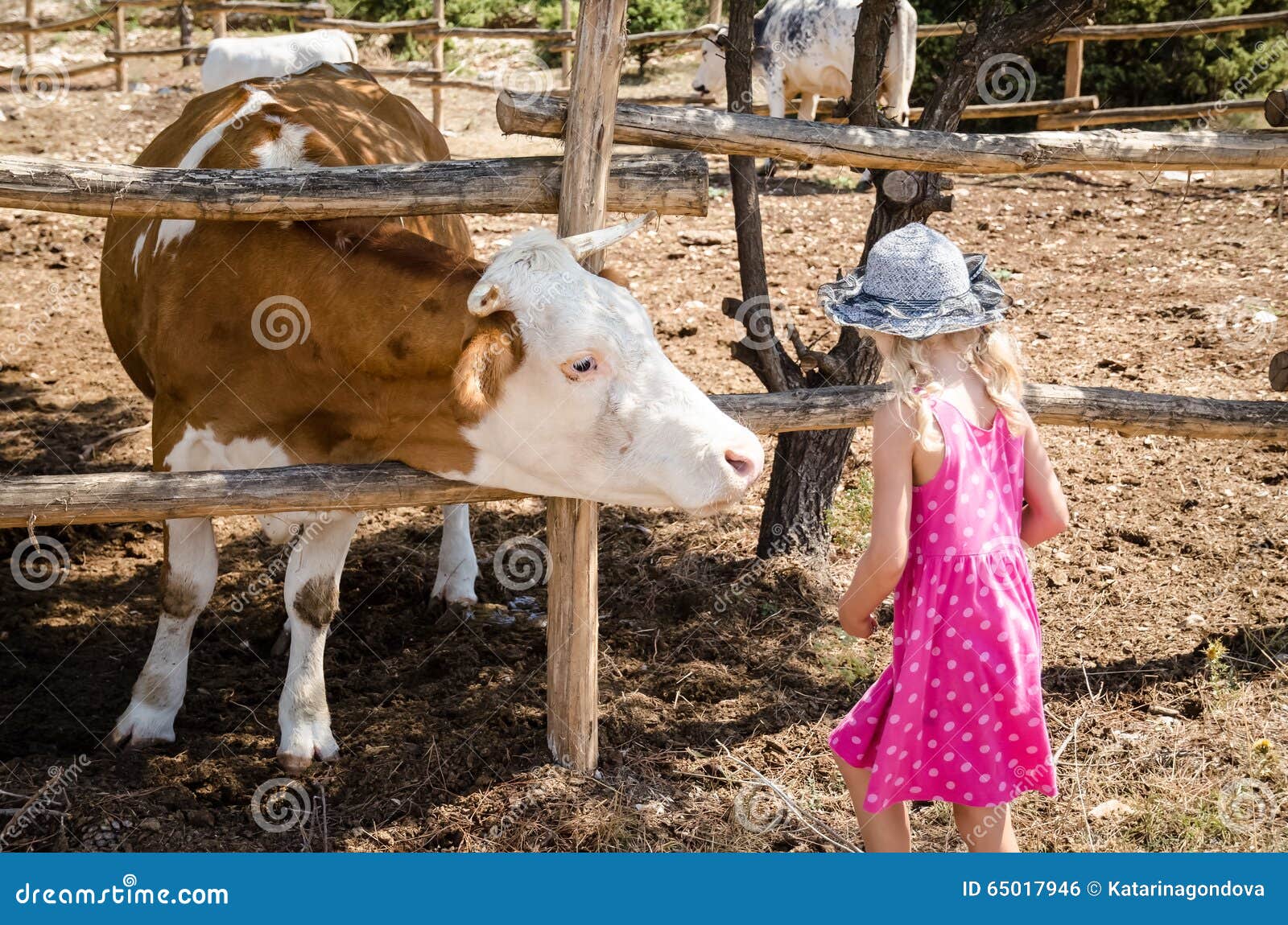 Enfant avec la vache photo stock. Image du amitié, extérieur - 65017946