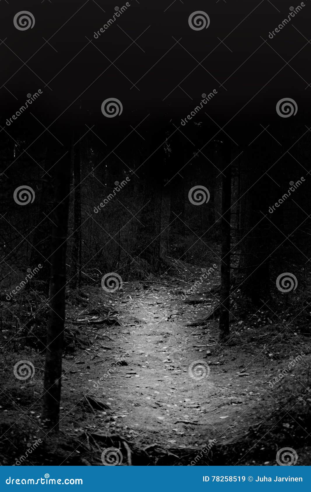 Eng Bos stock afbeelding. Image of geheimzinnigheid, magisch - 78258519