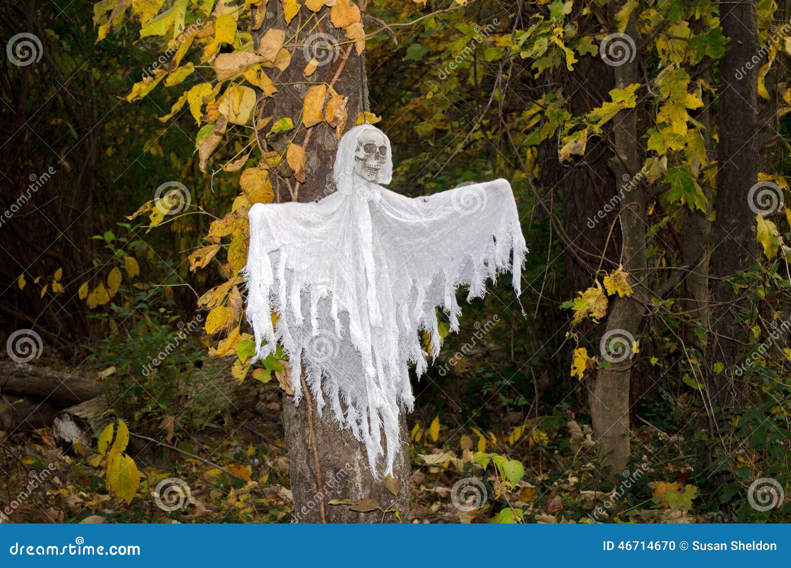 Eng wit spook in de bomen stock foto. Image of geest - 46714670