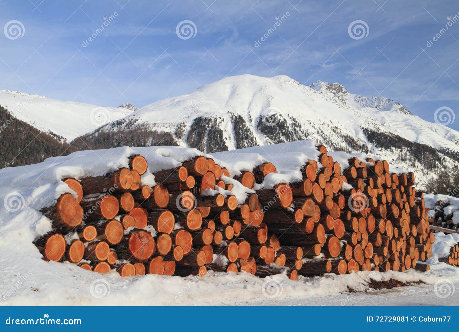 Engadina - die Schweiz stockbild. Bild von alpin, blatt - 72729081